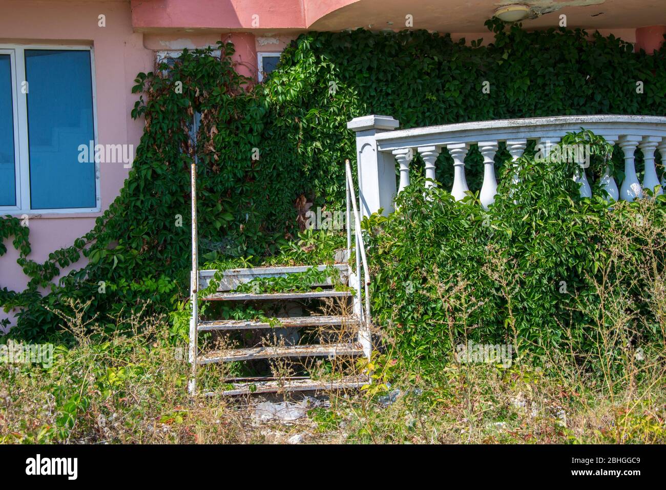 Abandoned hotel on the beach, covered in green grass and climbing ivy ...
