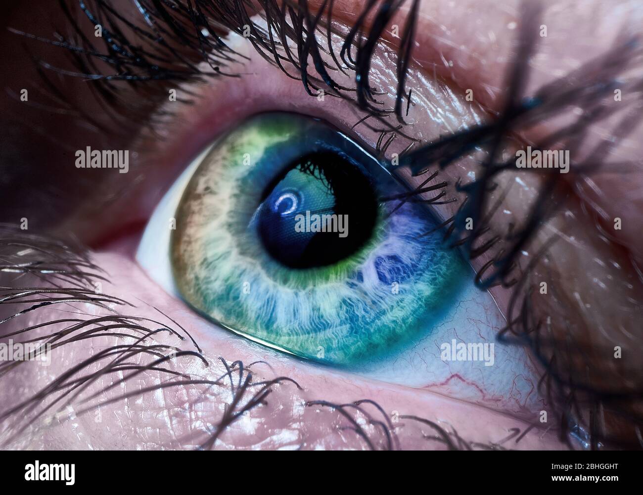 Closeup view human eye hi-res stock photography and images - Alamy
