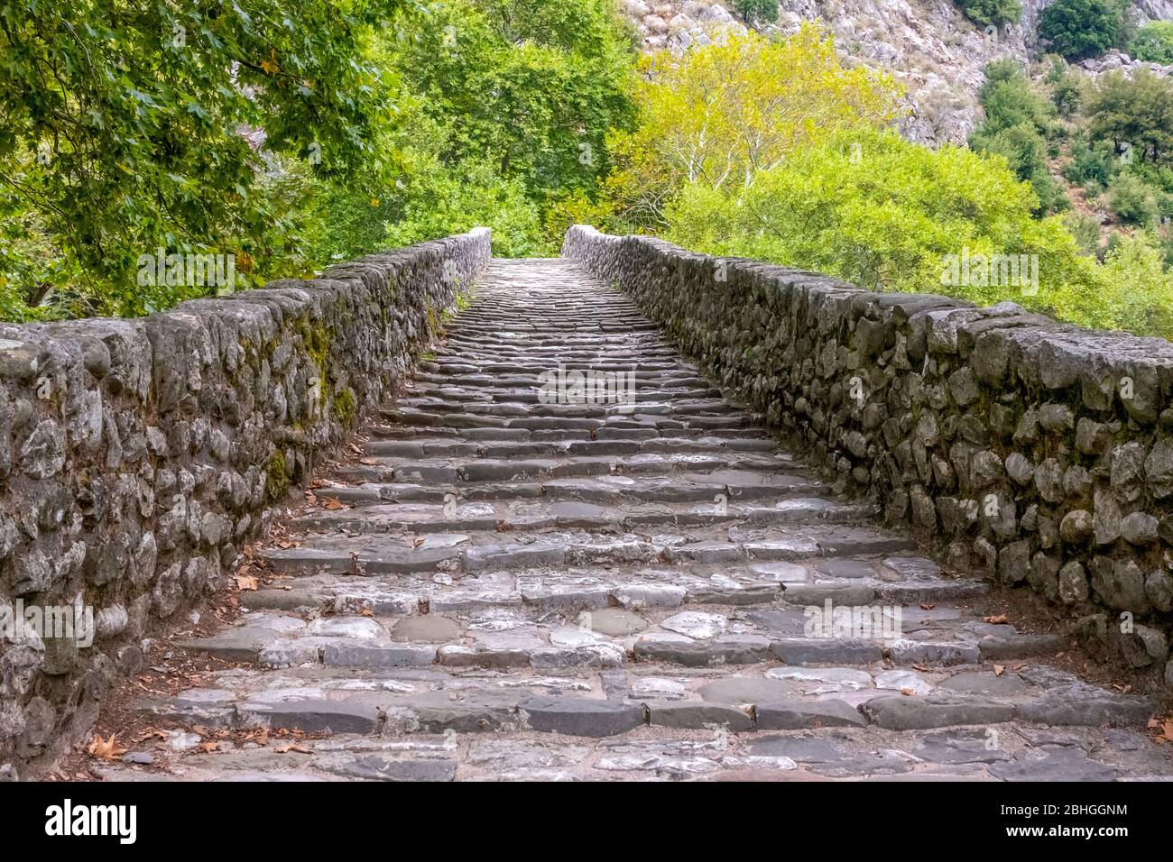 Summer day in the old park. Ancient steps with stone railing Stock ...