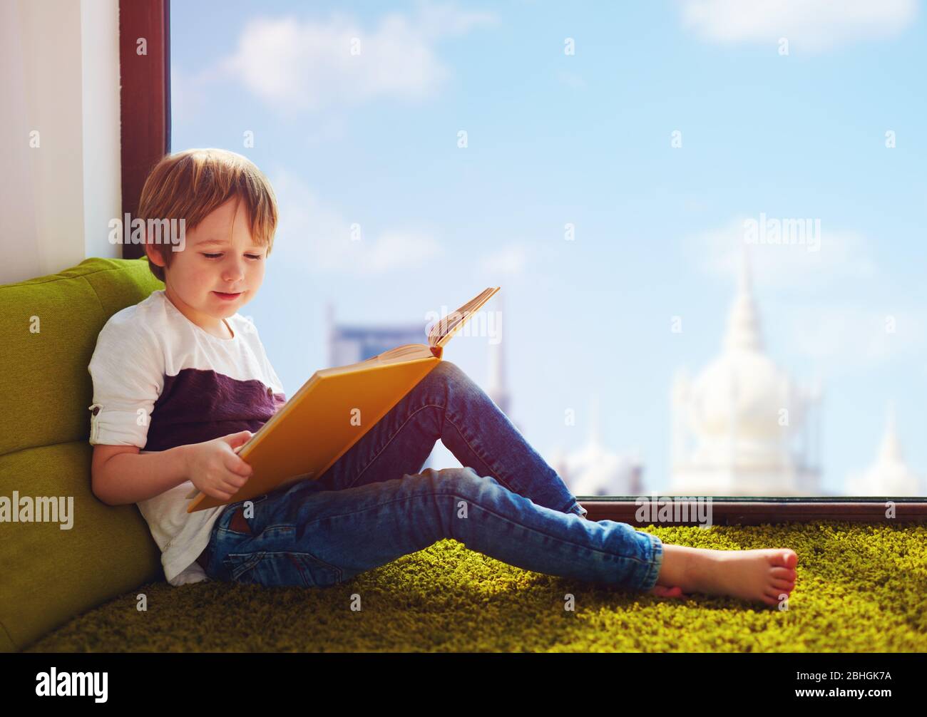 cute boy reading interesting book while sitting on carpet near the ...