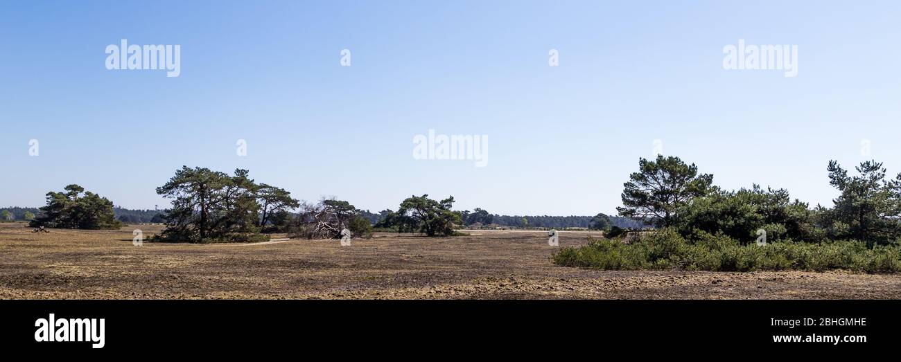 Panroma National Park De Hoge Veluwe The Netherlands Stock Photo - Alamy