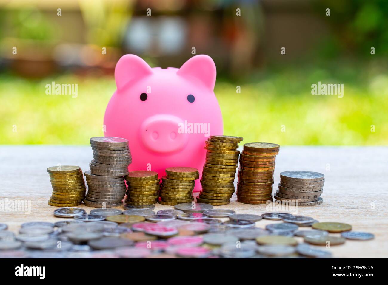 Pig piggy bank and coins and clock on nature blur background. saving ...