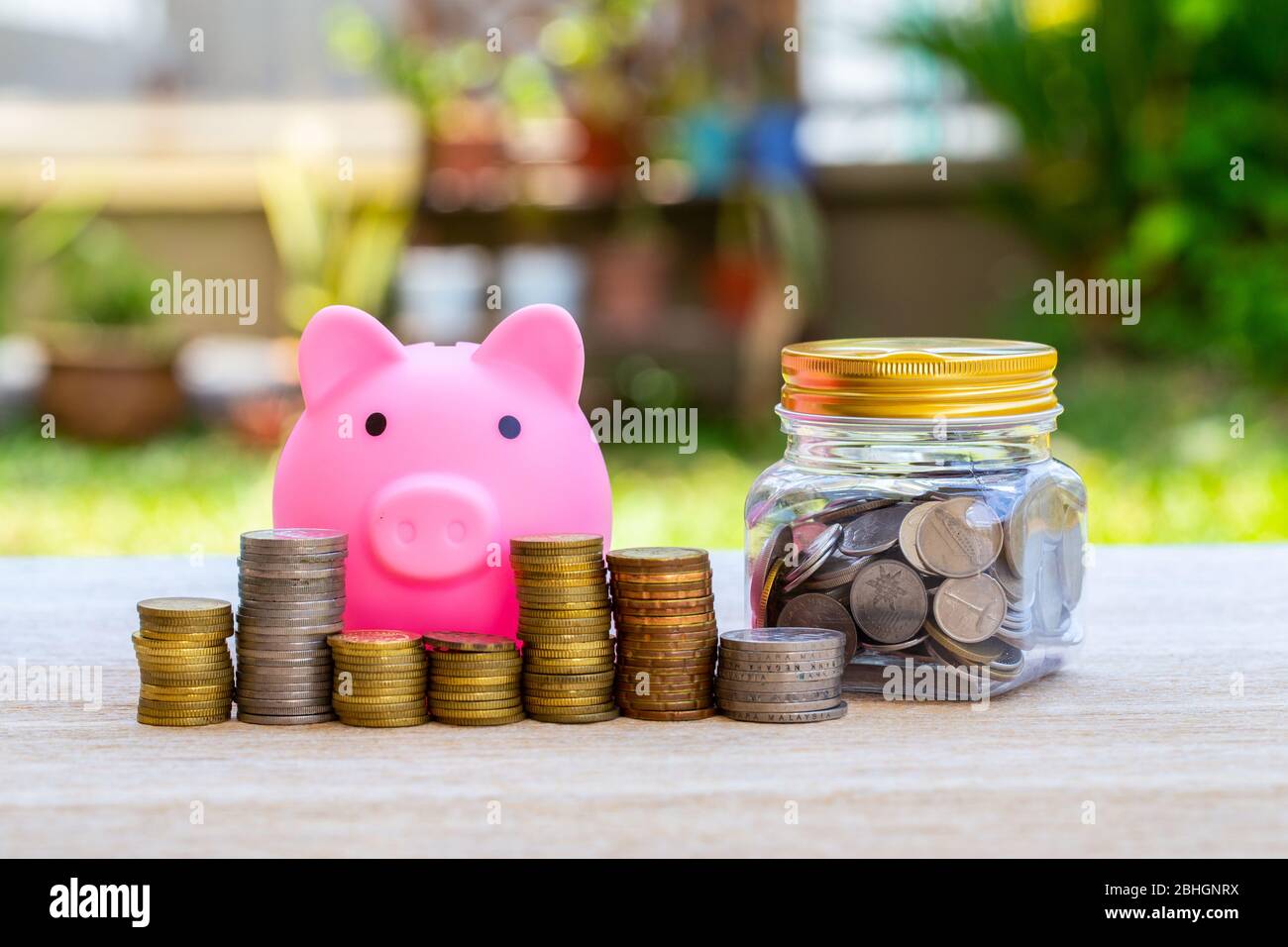 Pig piggy bank and coins and clock on nature blur background. saving ...