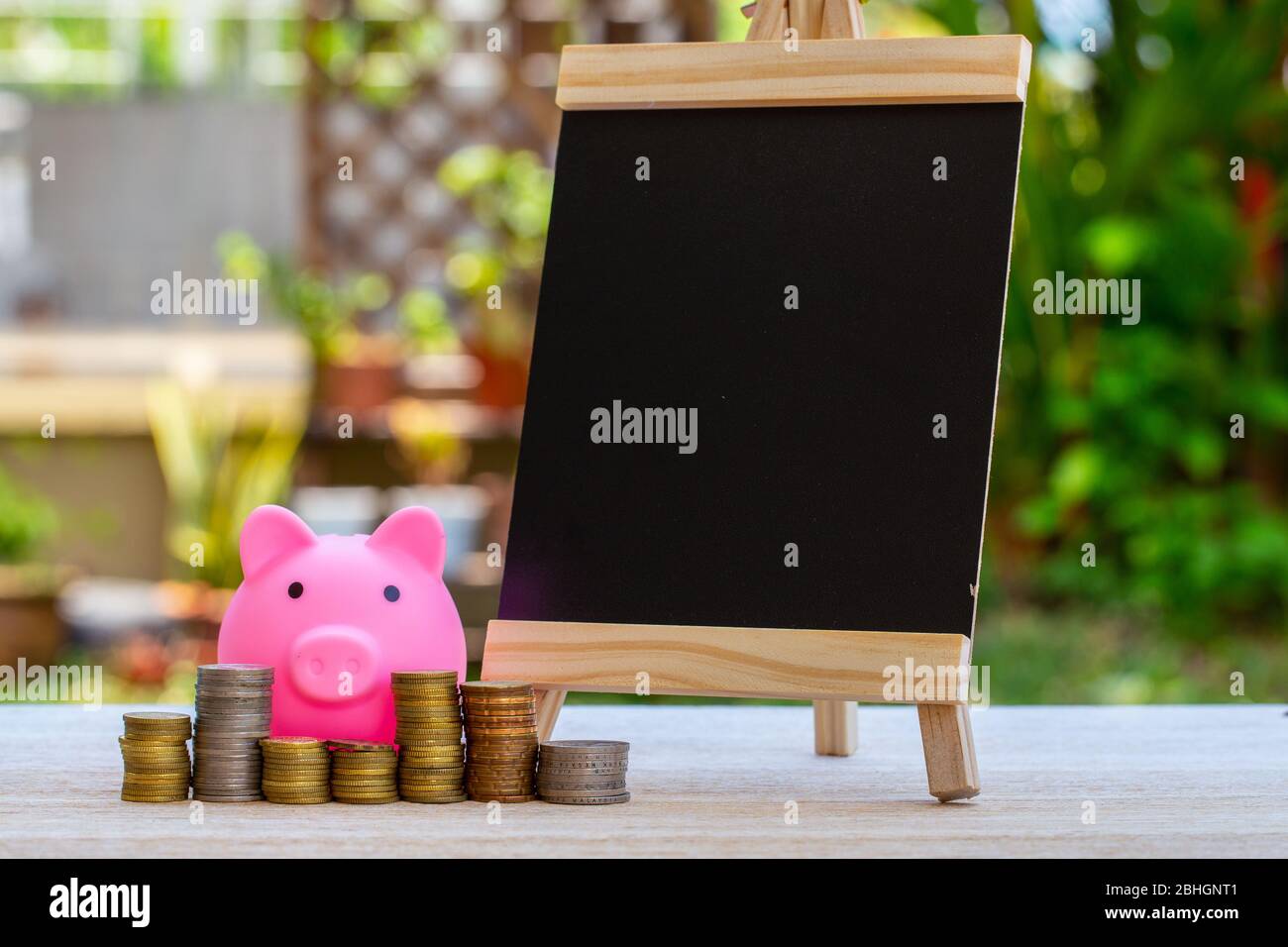 Pig piggy bank and coins and clock on nature blur background. saving ...
