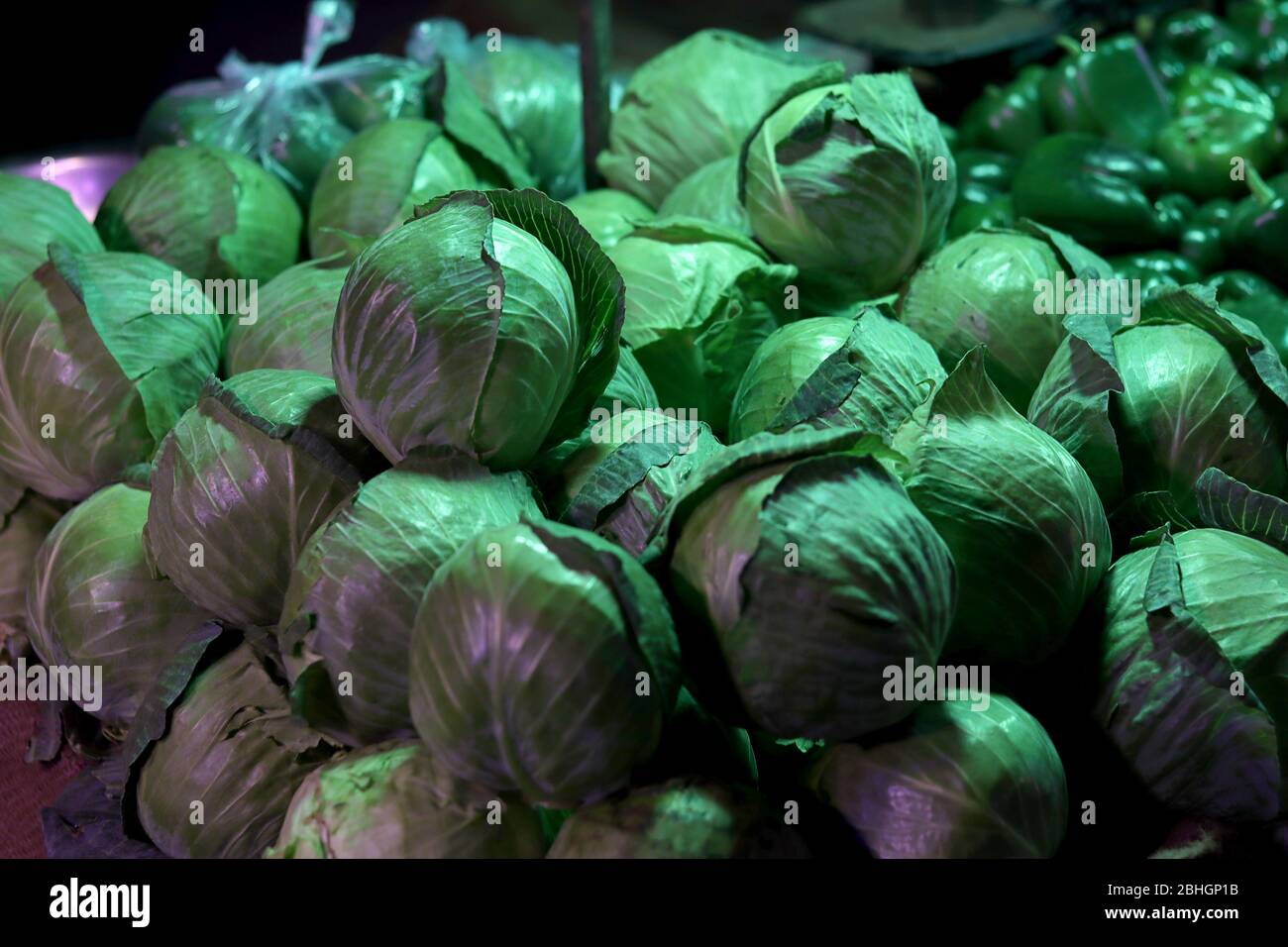 Leafy image hi-res stock photography and images - Alamy