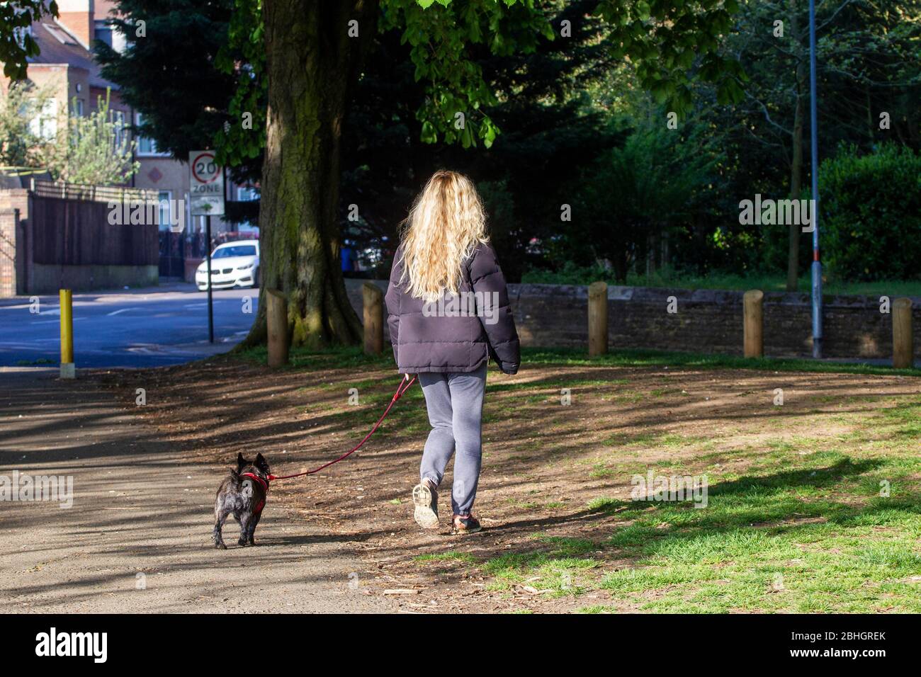 Female dog walker blond hi-res stock photography and images - Alamy