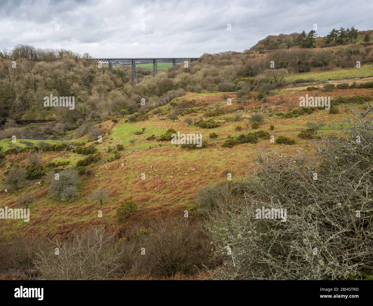 The disused Meldon railway viaduct (1874) carried the London and South ...