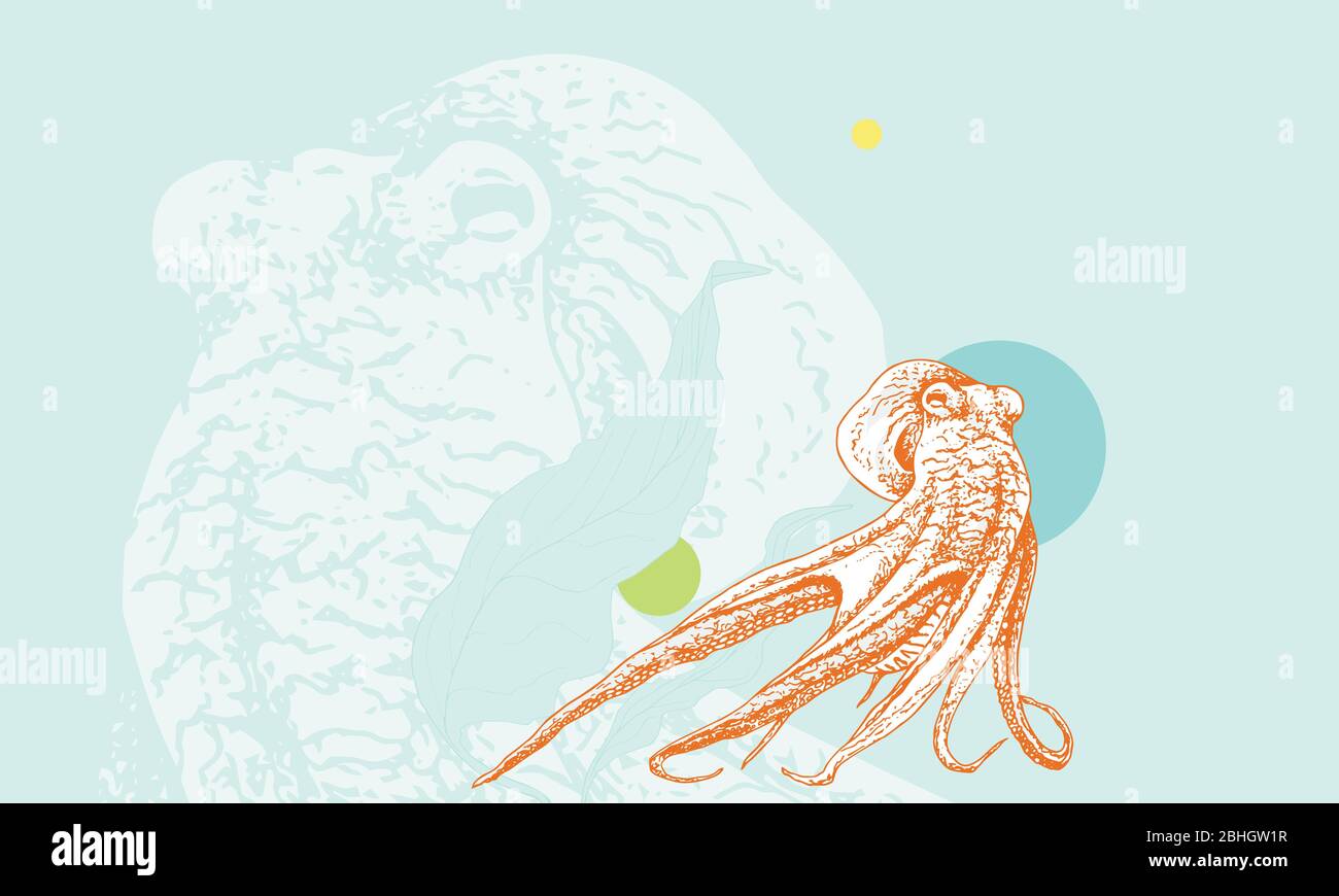 Wise looking octopus. Detailed, richly textured, hand drawn Stock ...