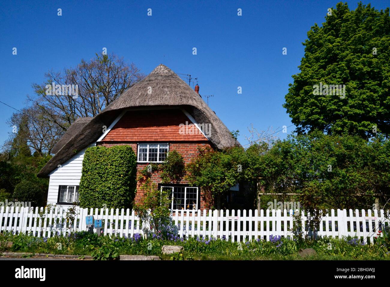 Traditional thatched house in the hamlet of Askett, Buckinghamshire, UK ...