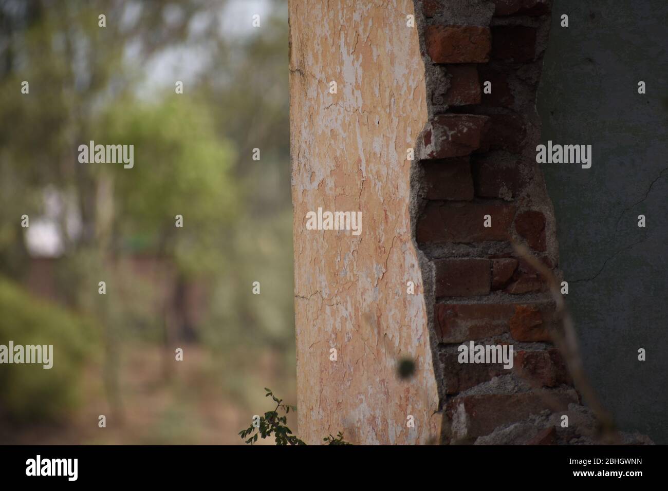 Broken Abandoned houses and building Stock Photo - Alamy