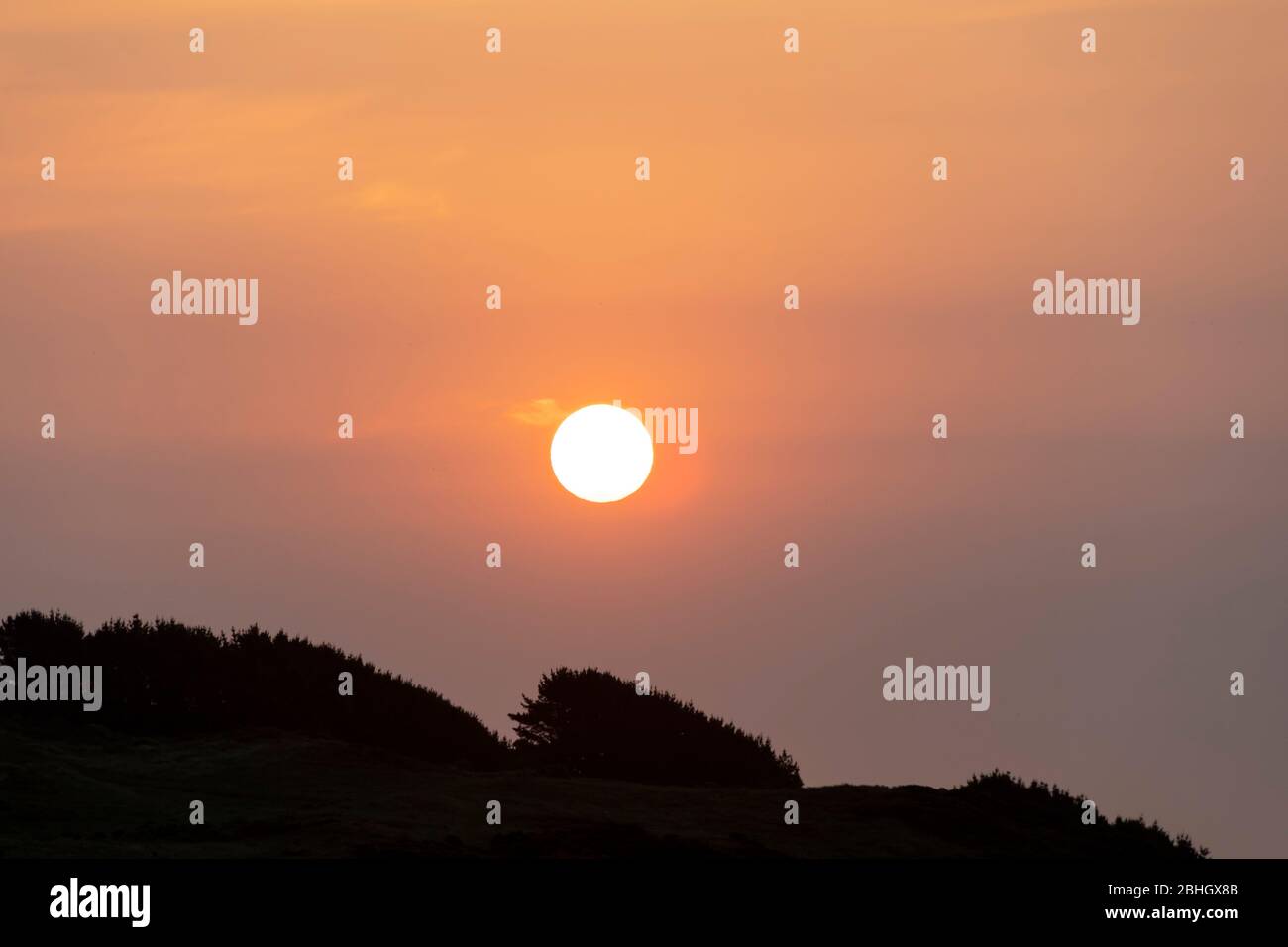 Sunset coloured by smoke from bush fires in Australia, Titahi Bay ...