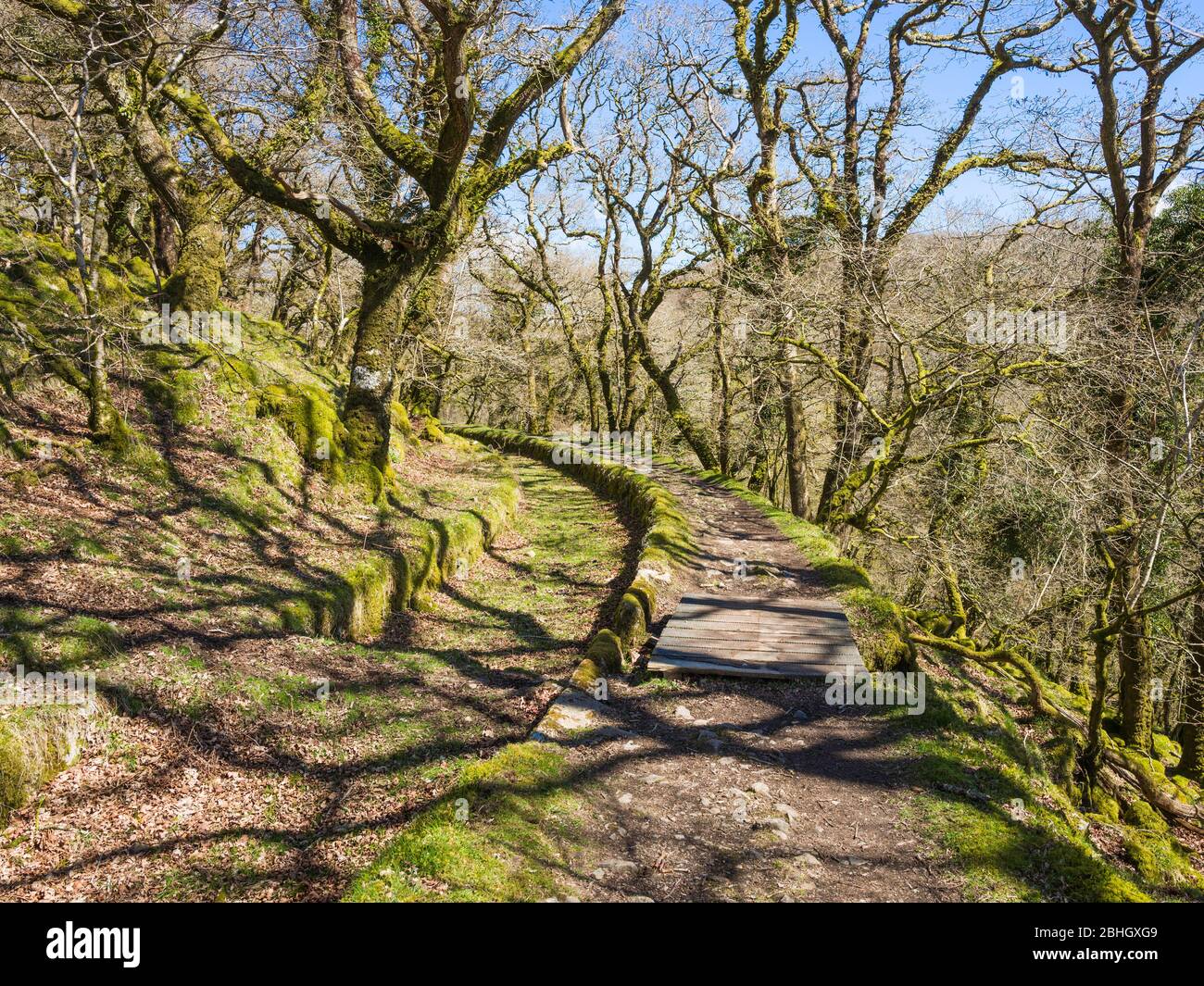 Drake's Leat, or Plymouth Leat was a 16th century watercourse to supply ...