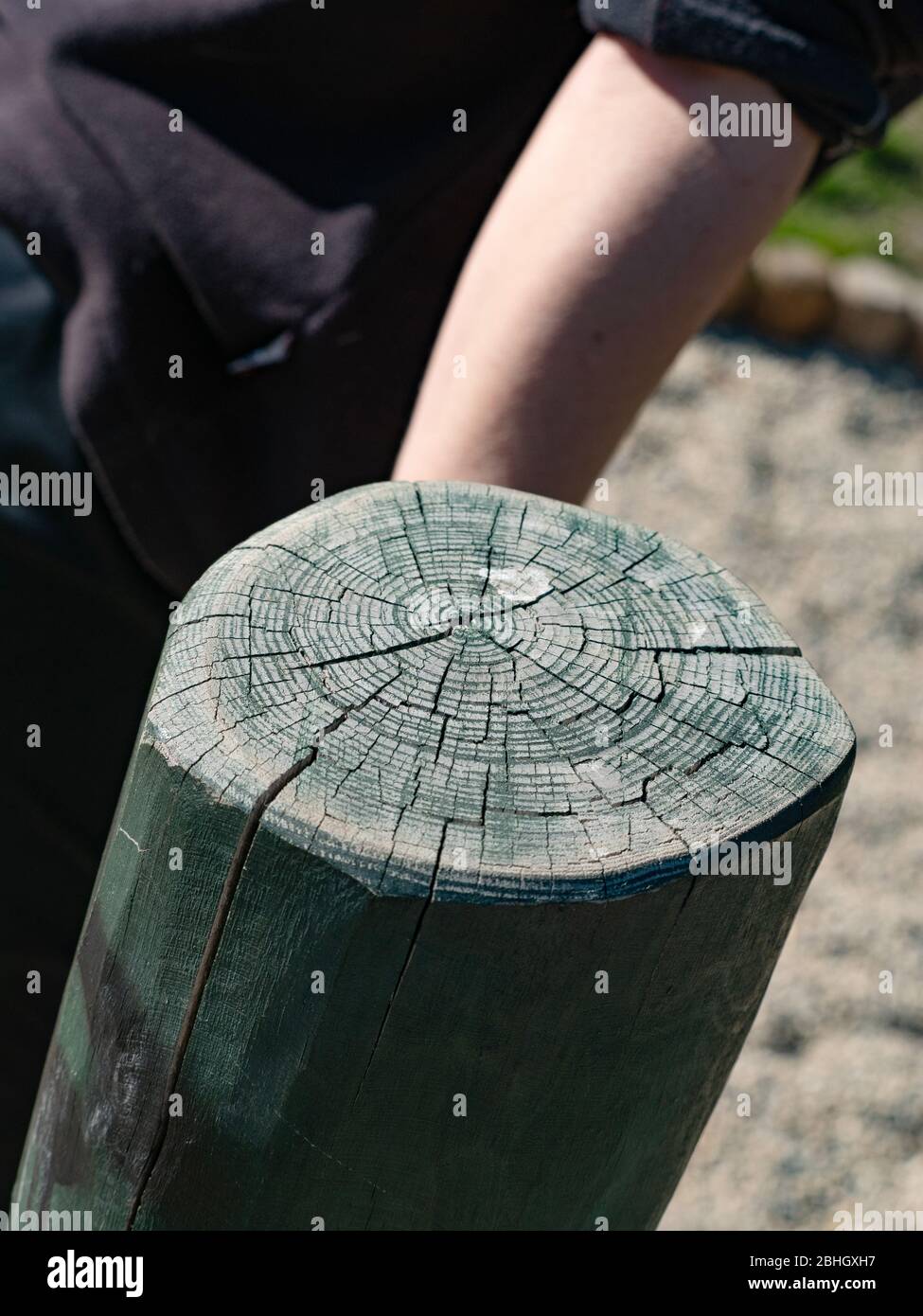 Stumps in the green park Playground for active children`s games. Walk ...
