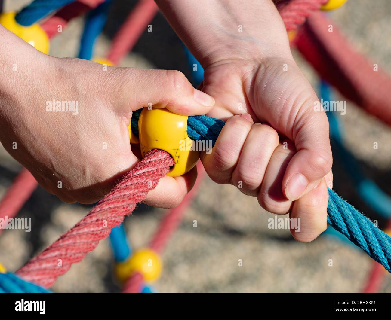 Spider climbing wall hi-res stock photography and images - Alamy