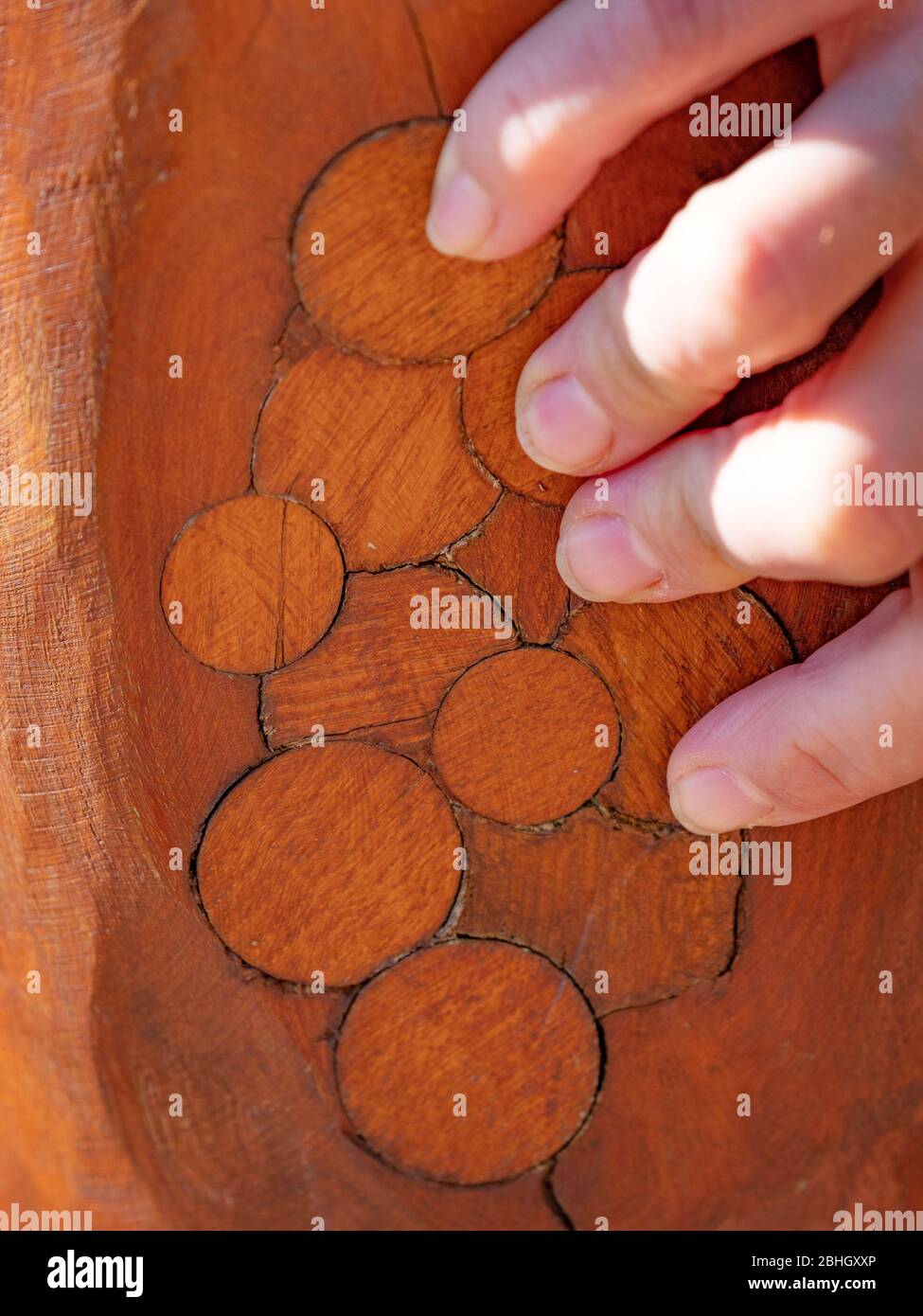 Hand finger touch of repaired natural wood with knots detail in brown ...