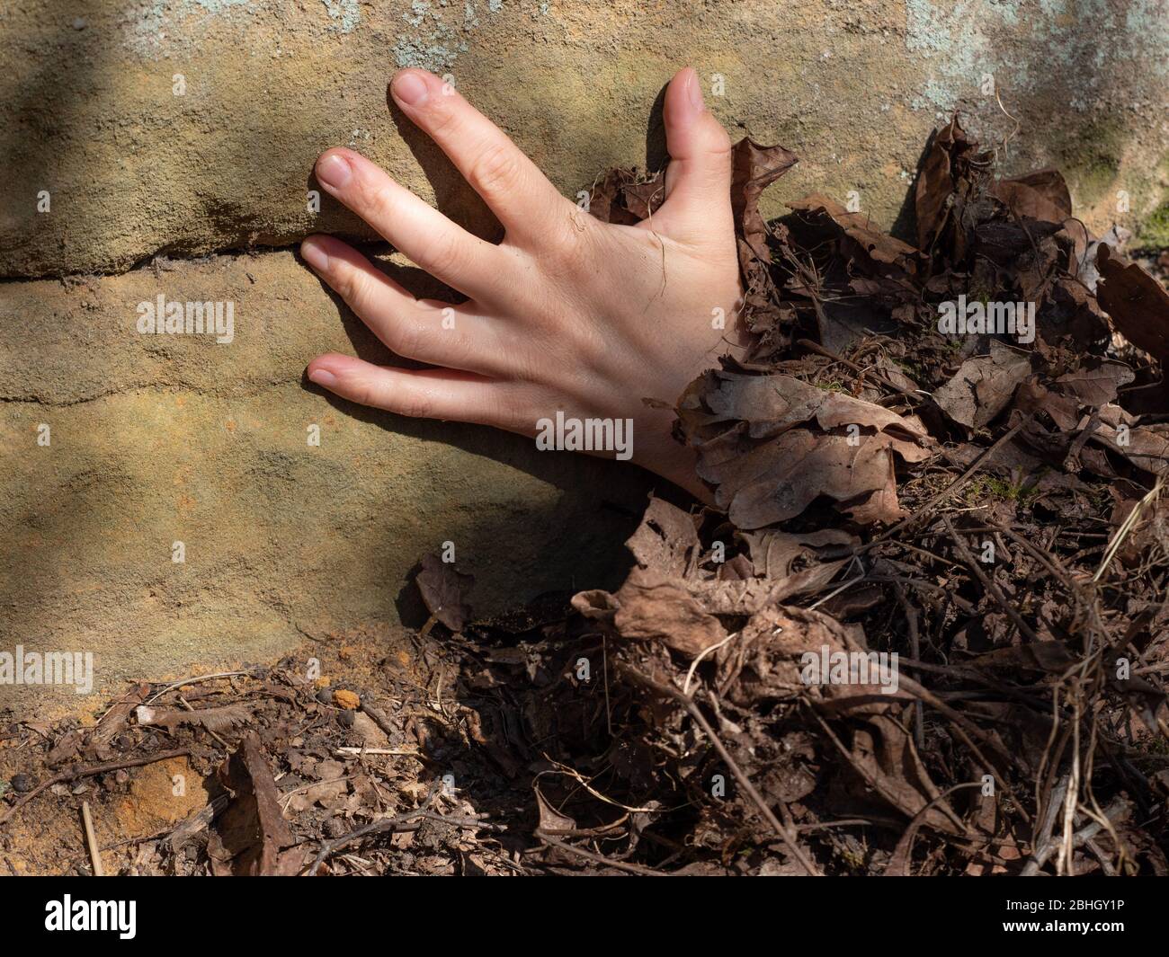 Rotten Finger High Resolution Stock Photography and Images - Alamy