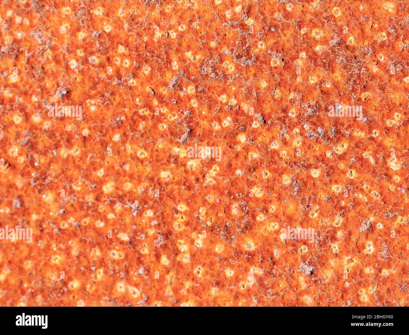 Rusty metal dots, natural detailed rust for amazing background, aged ...