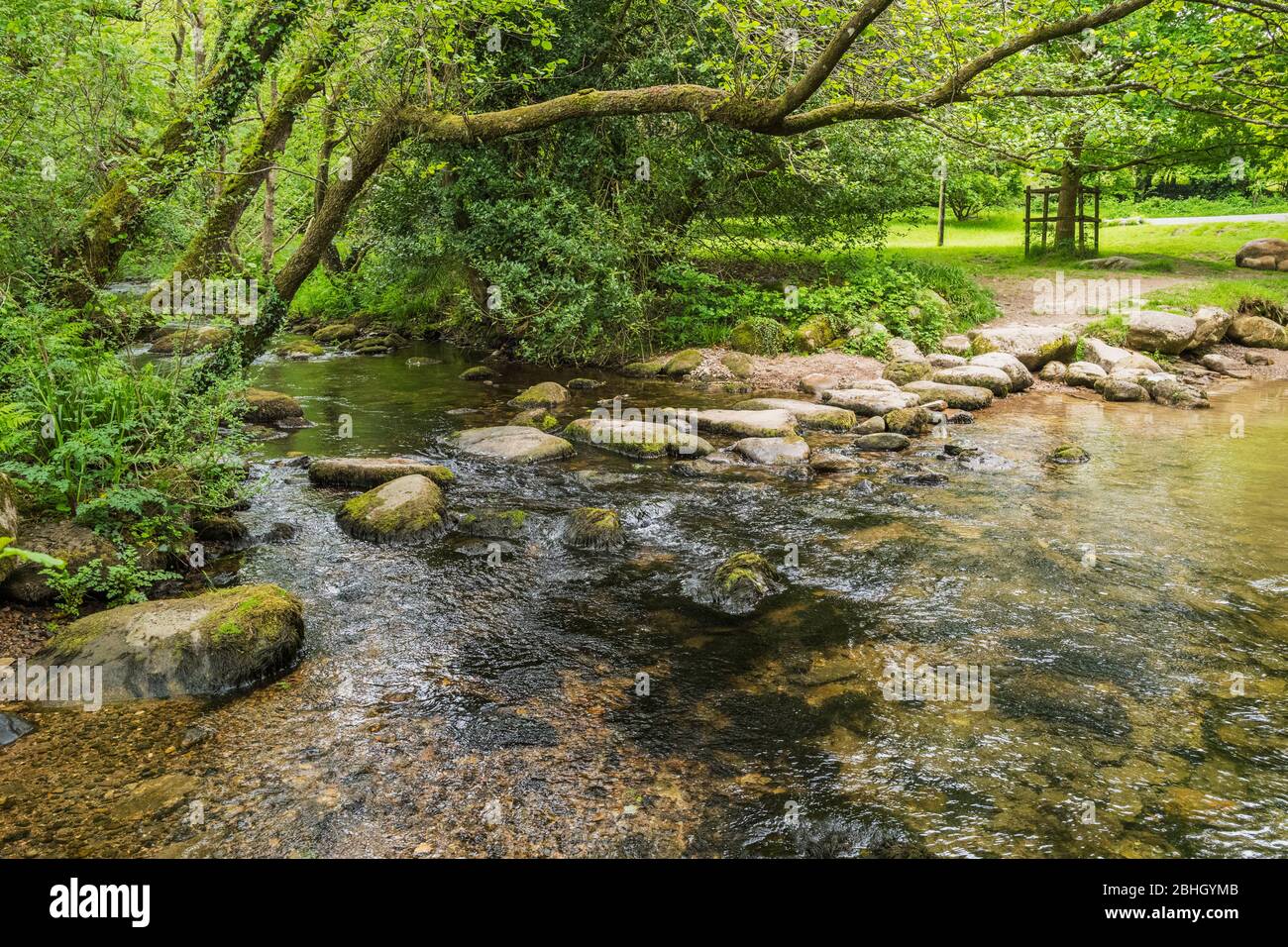 Stepping stones carry a footpath over the River Meavy near the village ...