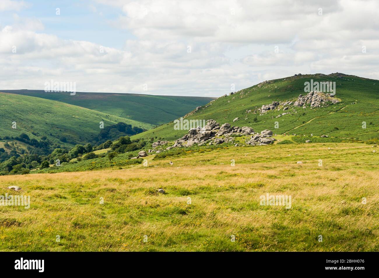 View of Bonehill Down towards Bonehill Rocks and Bell Tor with ...
