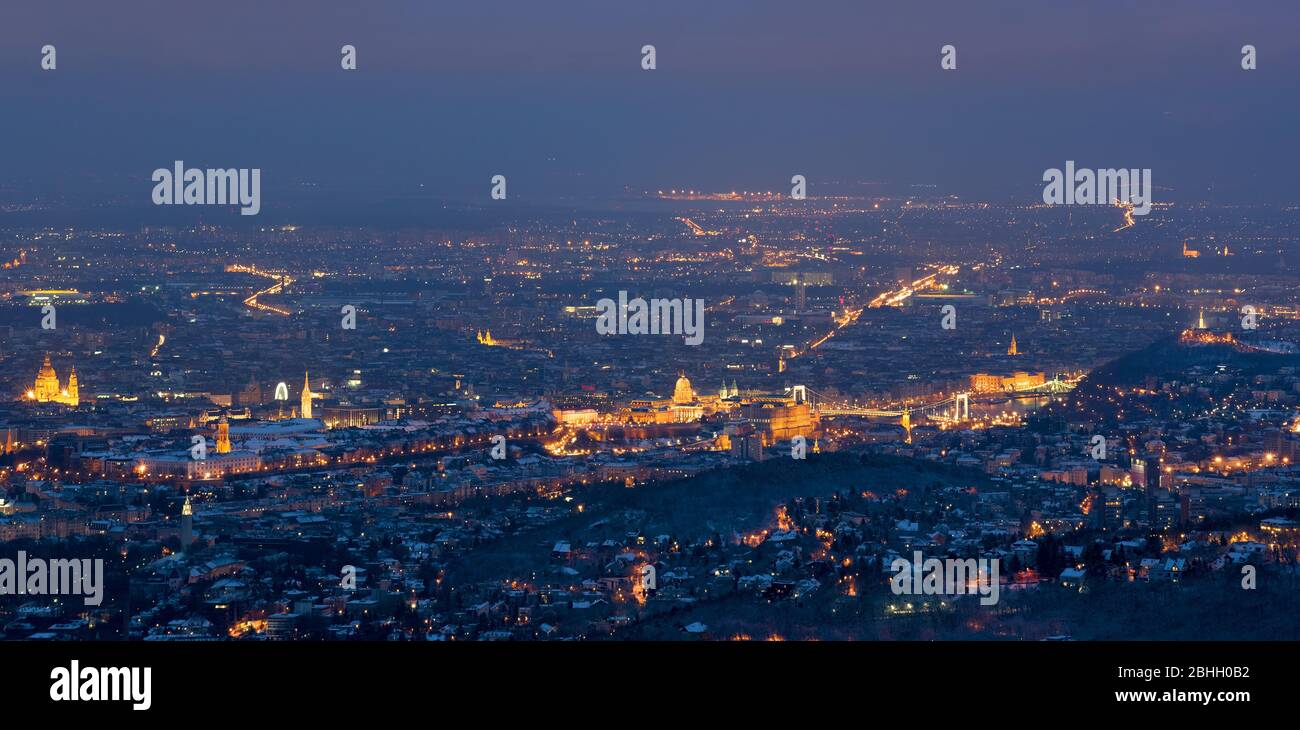 City bird hi-res stock photography and images - Alamy