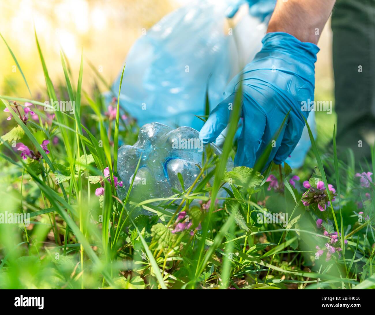collecting plastic in nature, cleaning forests and meadows Stock Photo ...