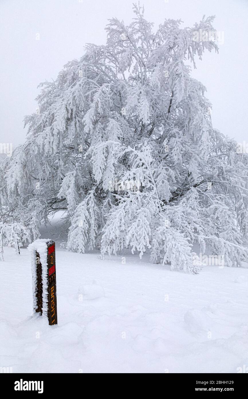 Parco del beigua hi-res stock photography and images - Alamy