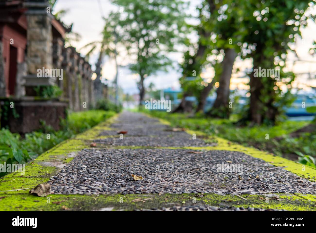 Sidewalk with moss leading into the distance Stock Photo - Alamy