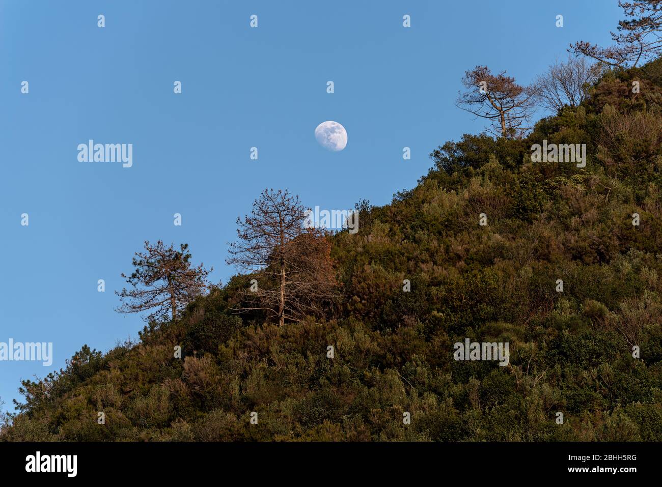 Full moon rises hill hi-res stock photography and images - Alamy