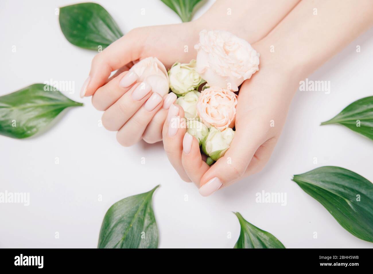 Beautiful stylish trendy female pink manicure with flower on background ...