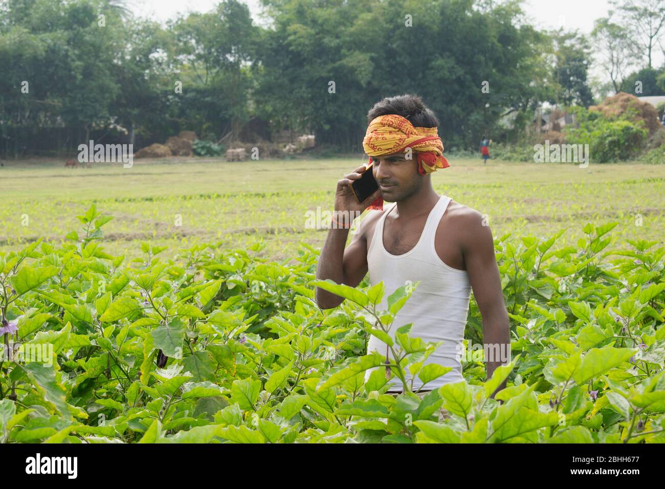 Rural village indian man using mobile phone hi-res stock photography ...