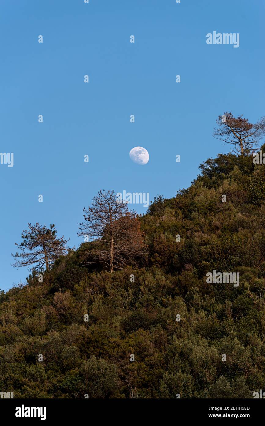 Moon above hill hi-res stock photography and images - Alamy