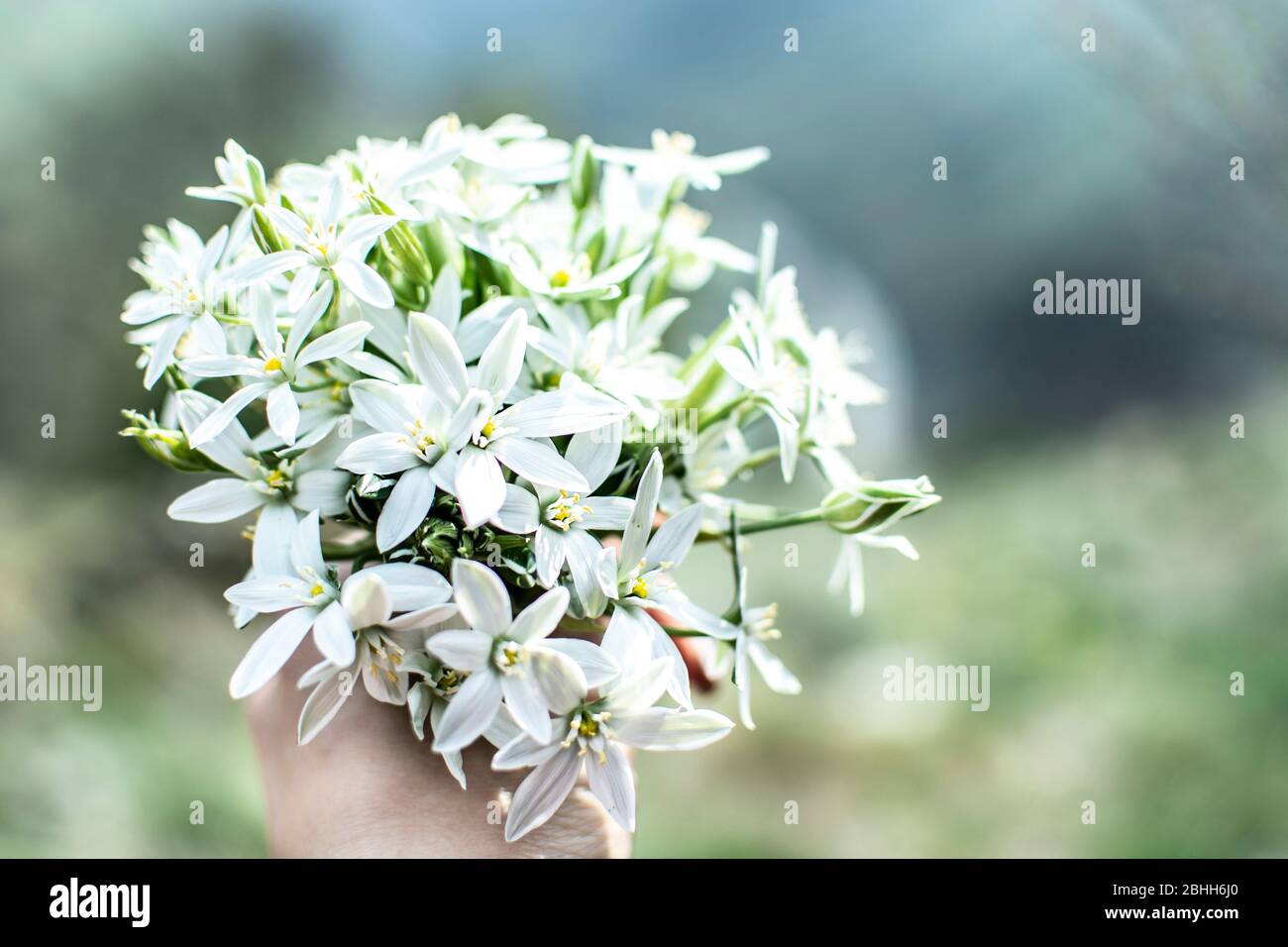 Frozen ski lift on the top of the mountain Stock Photo - Alamy
