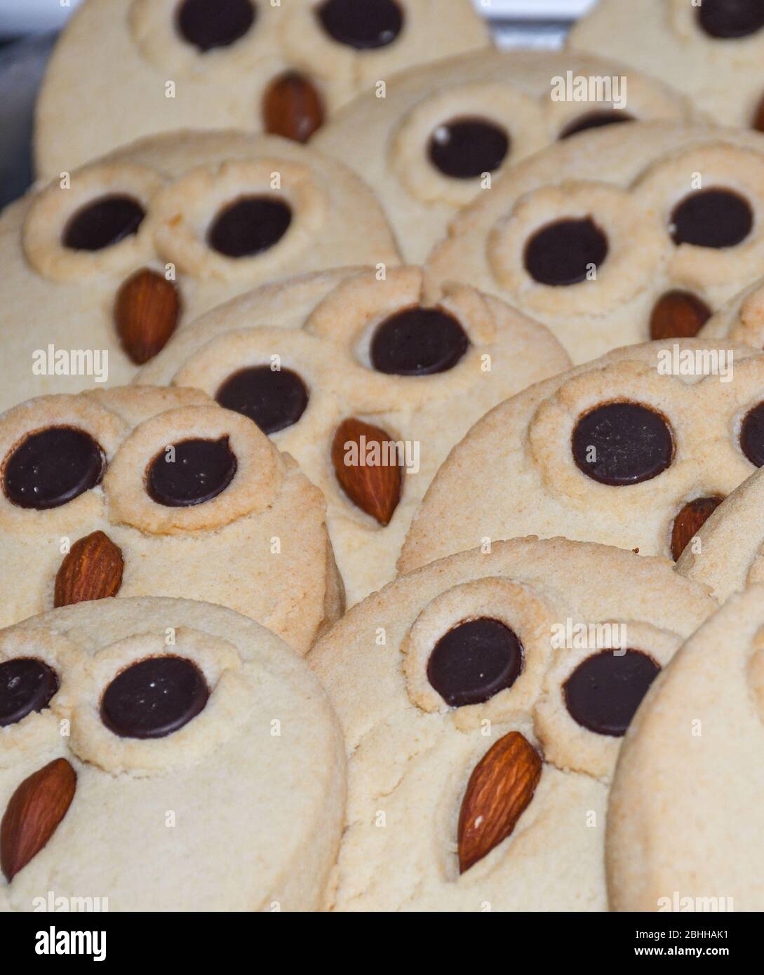 Homemade owl shaped biscuits, healthy recipe: gluten, lactose and wheat ...