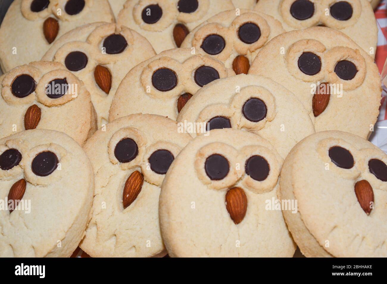 Homemade owl shaped biscuits, healthy recipe: gluten, lactose and wheat ...