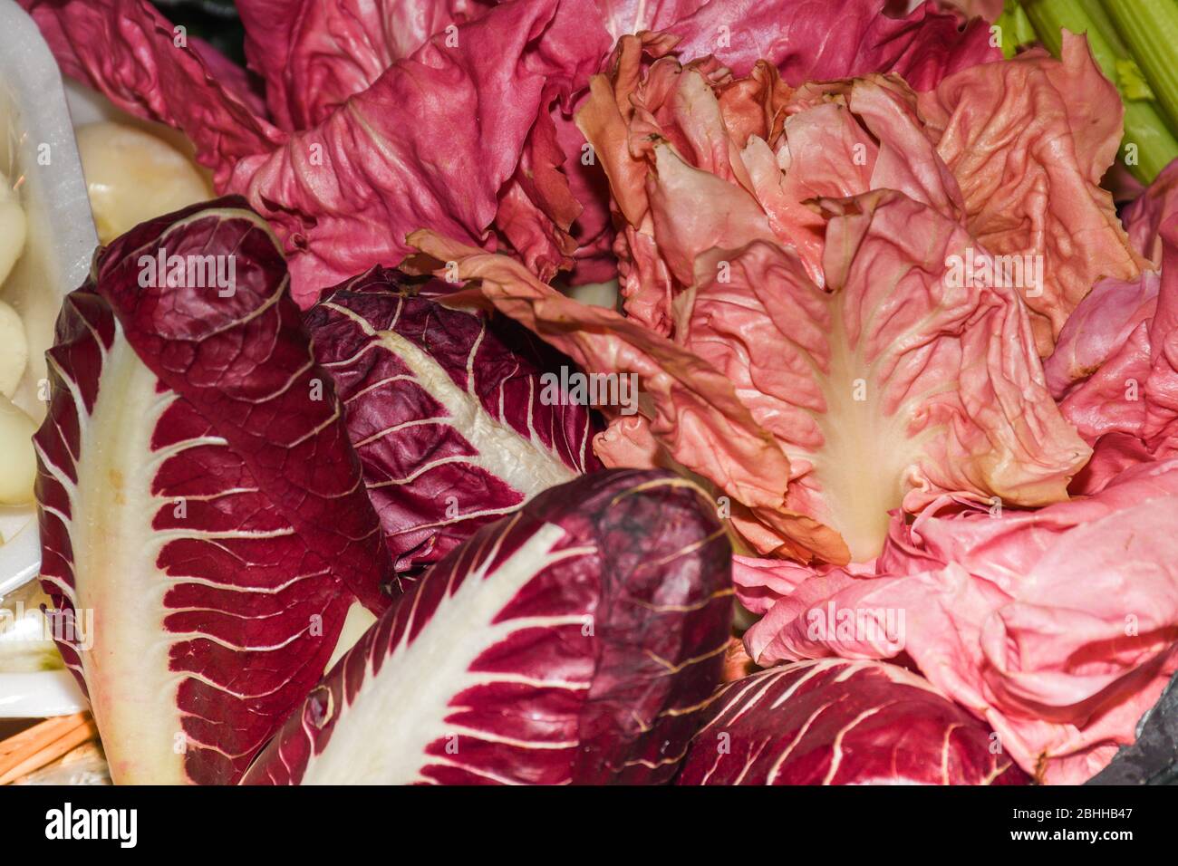 Red radicchio pink endives vegetables raw whole purple pink color on ...