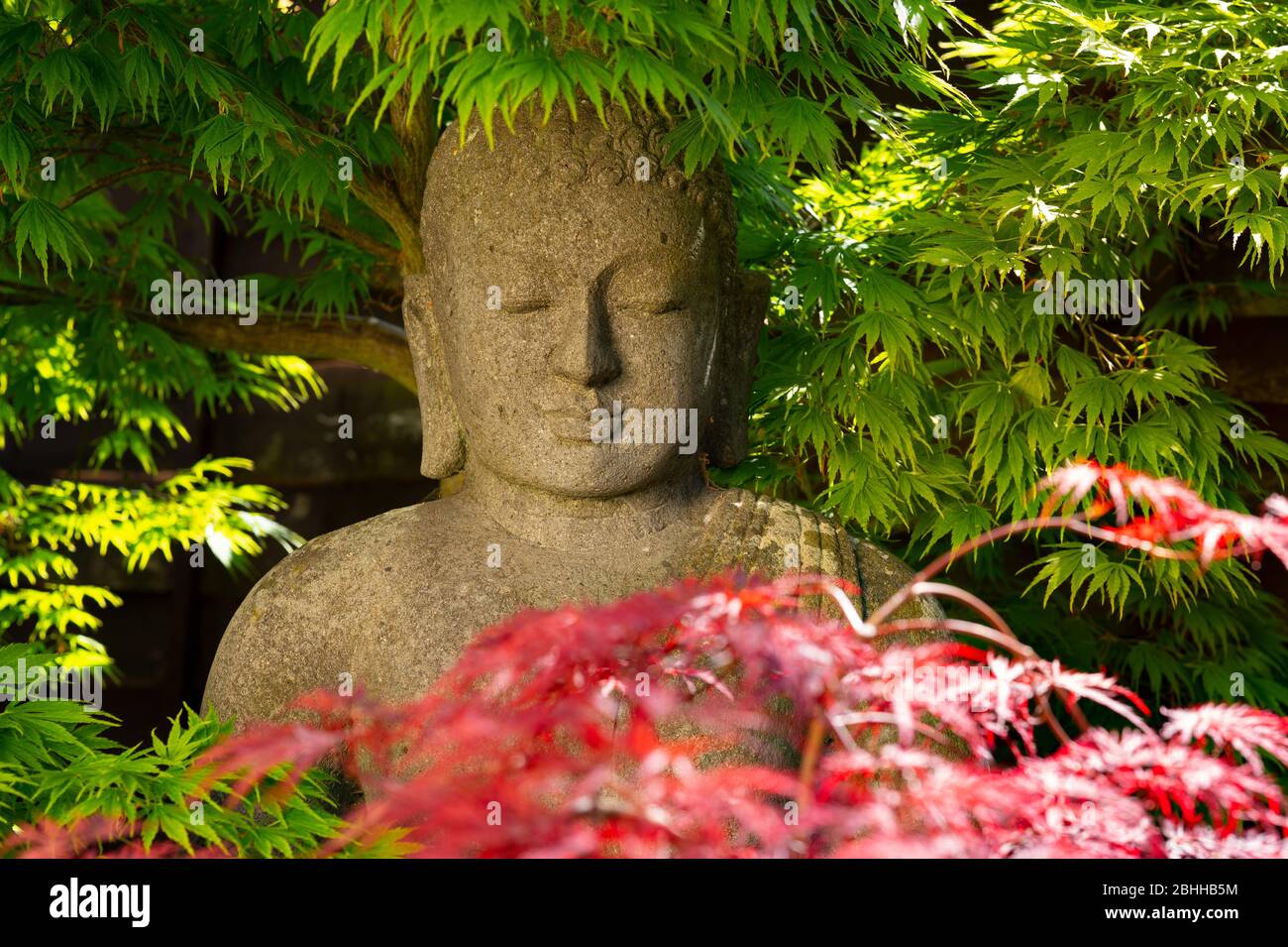 Buddha Statue among red and green acre trees in a garden on a sunny day ...