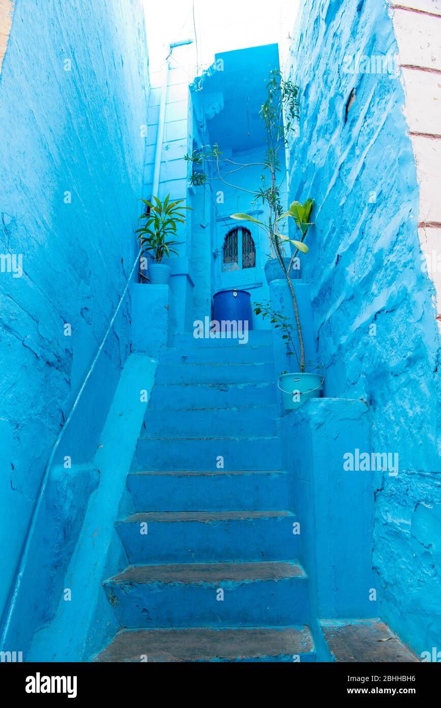 Jodhpur/ India 17 March 2019 Stone steps outside a blue house in the ...