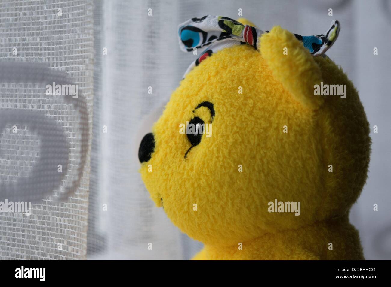 Pudsey bear children in need hi-res stock photography and images - Alamy
