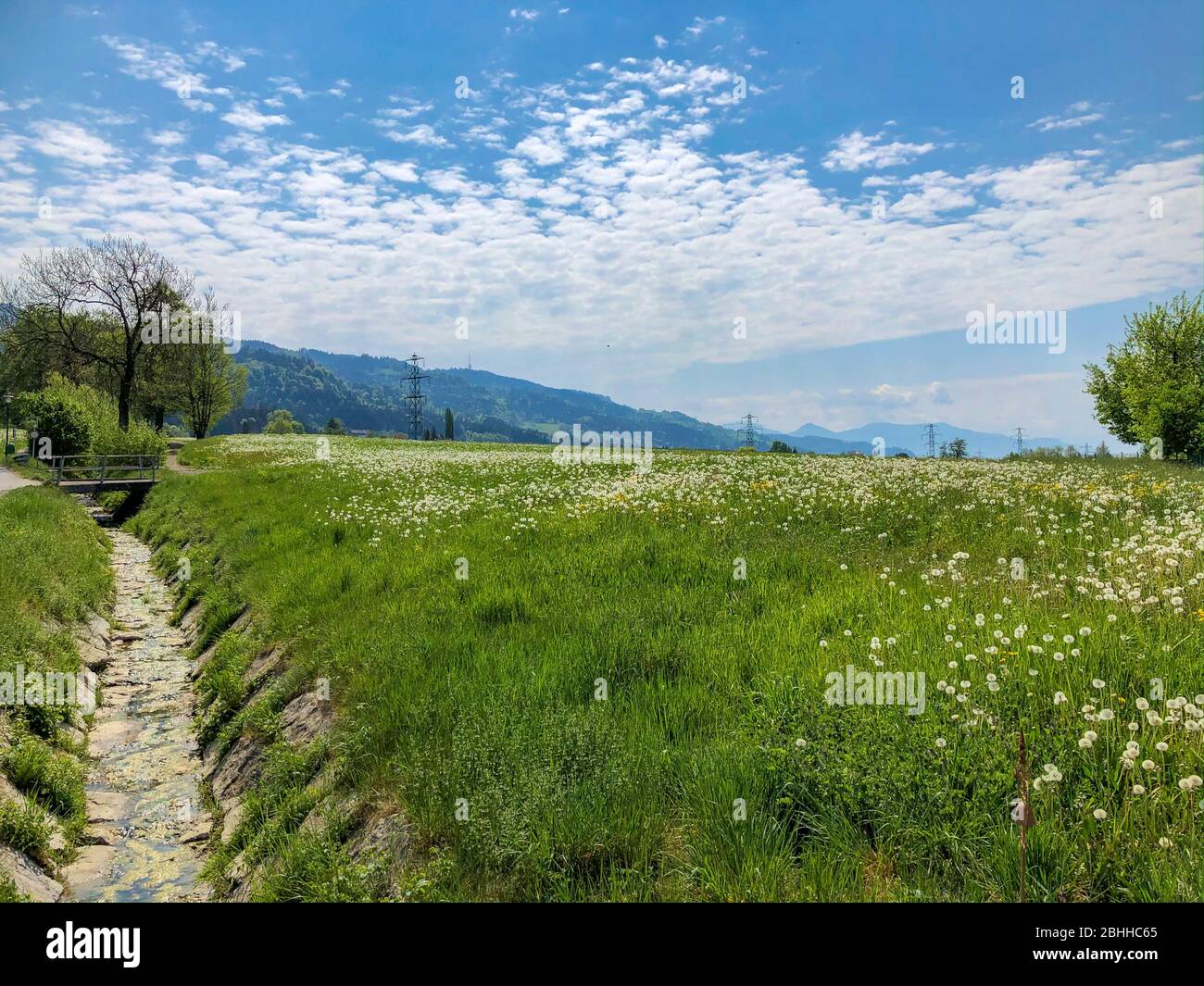 Frisches gras hi-res stock photography and images - Alamy