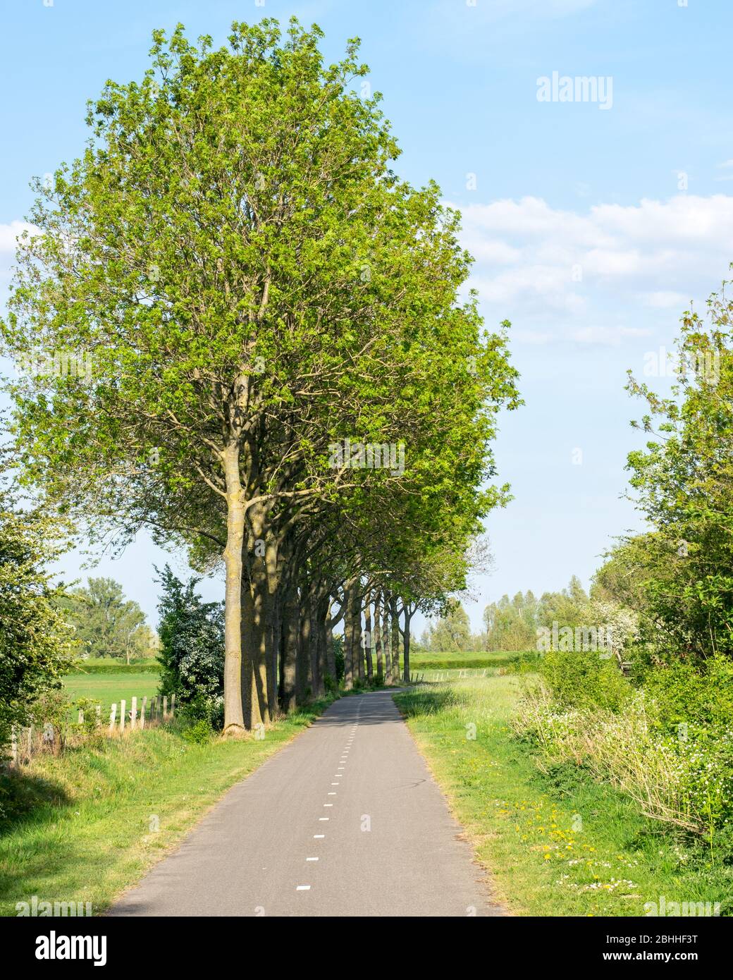 Ditch bikes hi-res stock photography and images - Alamy