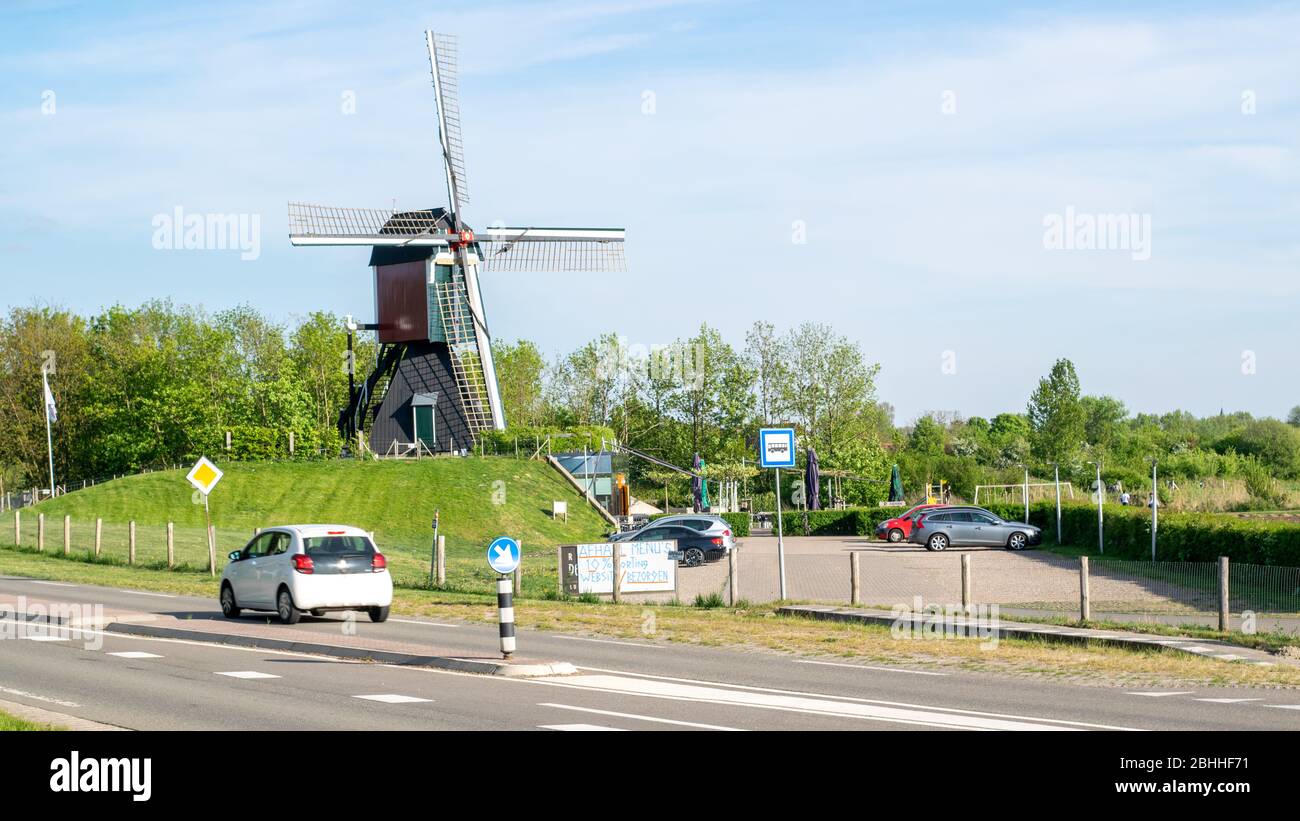 Traditional setting of a Dutch windmill in the Netherlands in front of ...