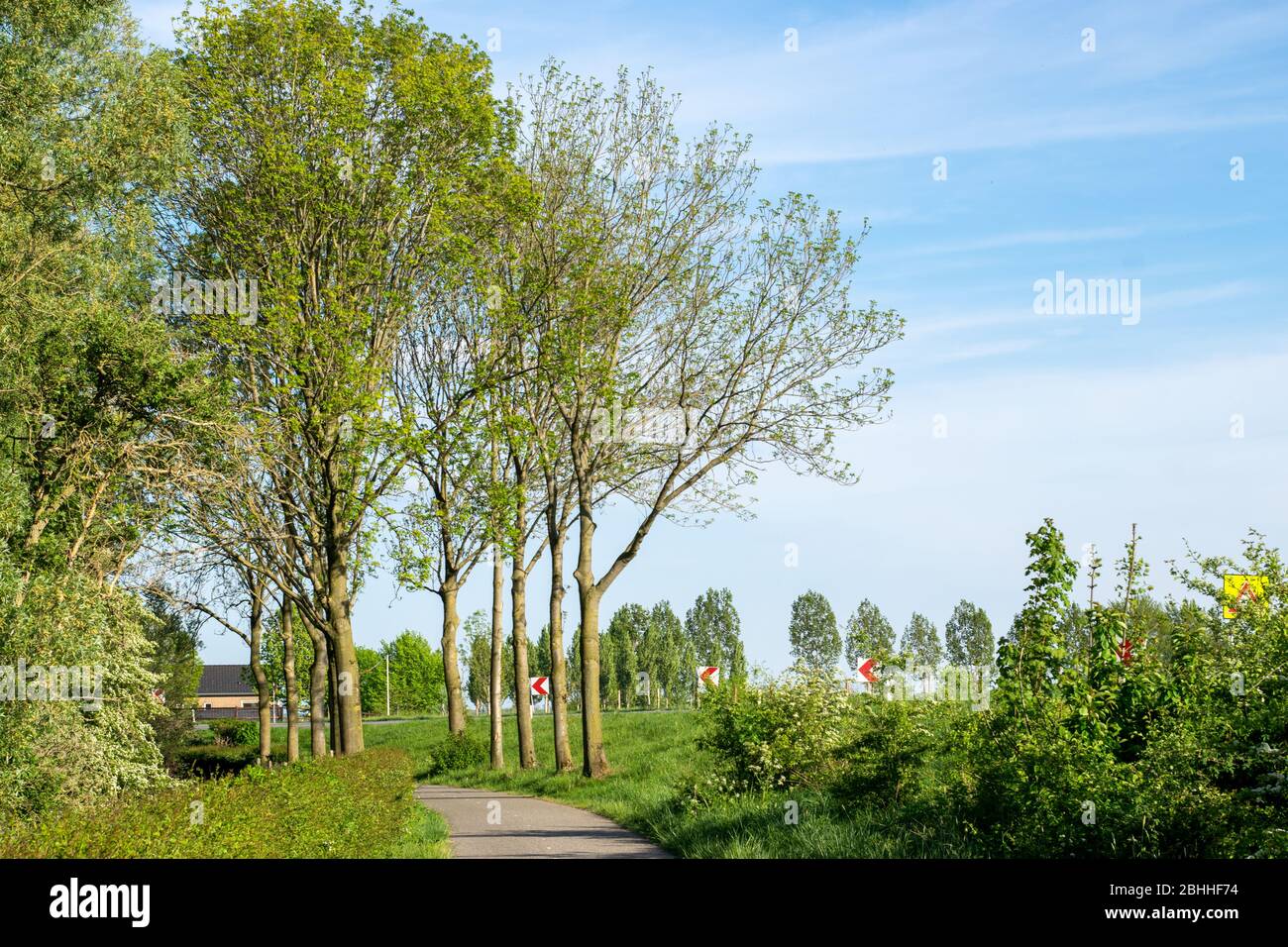 Bike path for cyclist next to a Dutch dike with a road in a polder ...