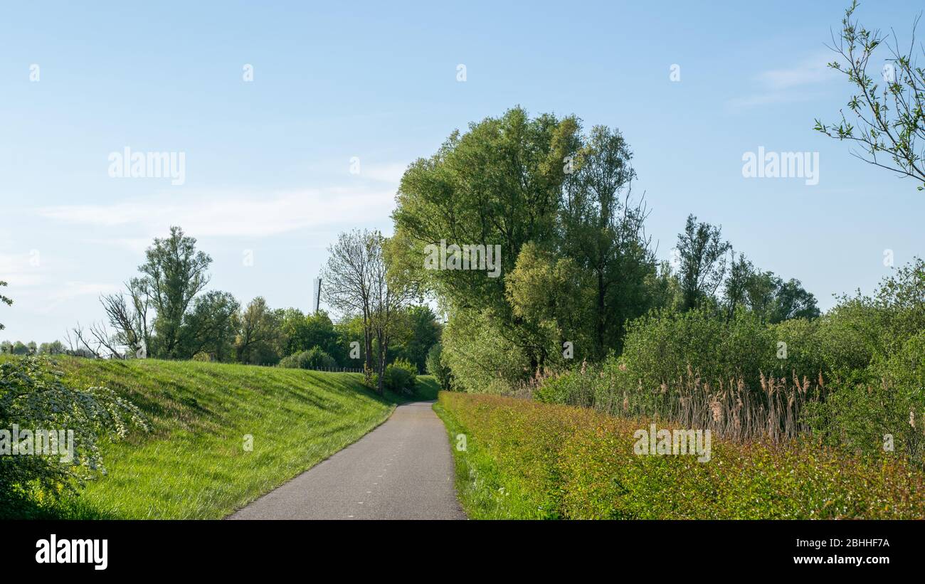 Bike path for cyclist next to a Dutch dike with a road in a polder ...