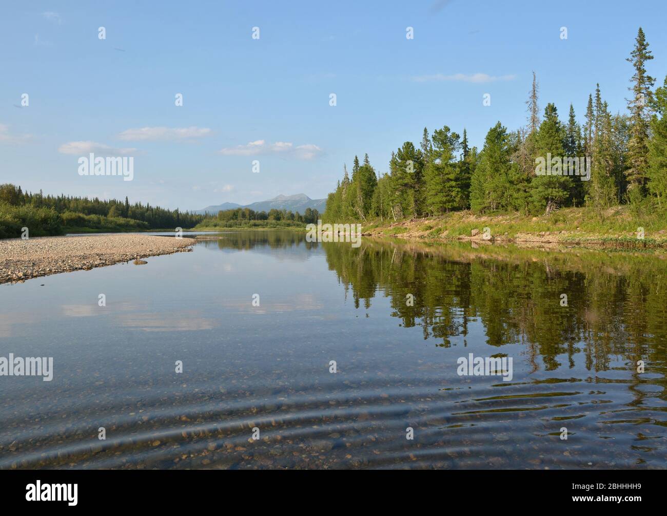 Summer in the Yugyd Va National Park. Komi Virgin Forests is a UNESCO ...