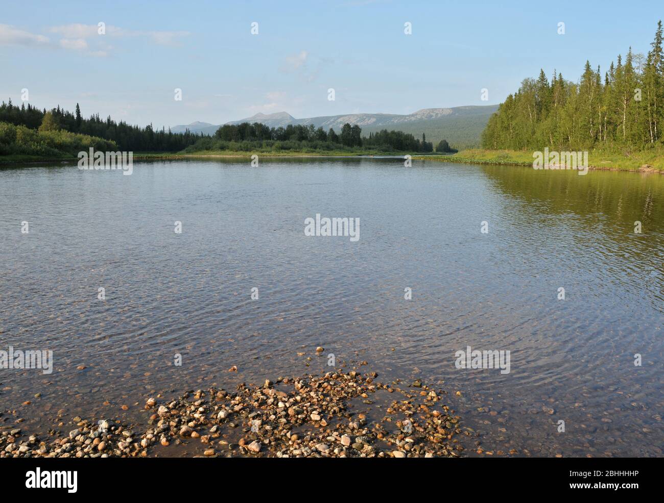Summer in the Yugyd Va National Park. Komi Virgin Forests is a UNESCO ...