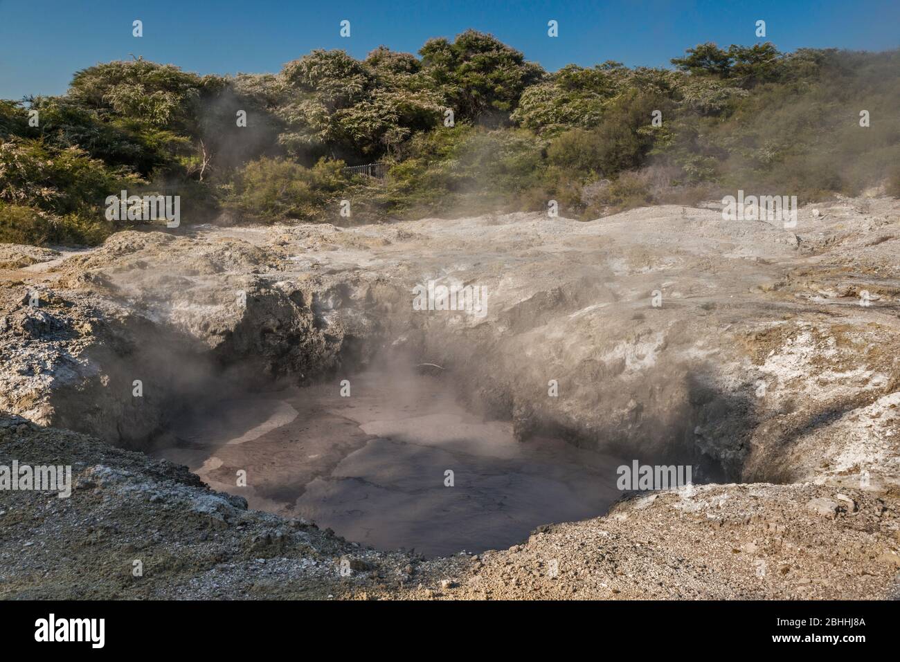 Pool, Wai-O-Tapu Thermal Wonderland, Taupo Volcanic Zone, Waikato ...