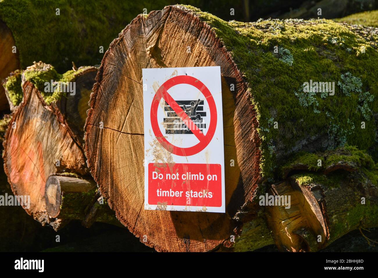 A do not climb on timber tacks sign attached to a timber stack Stock ...