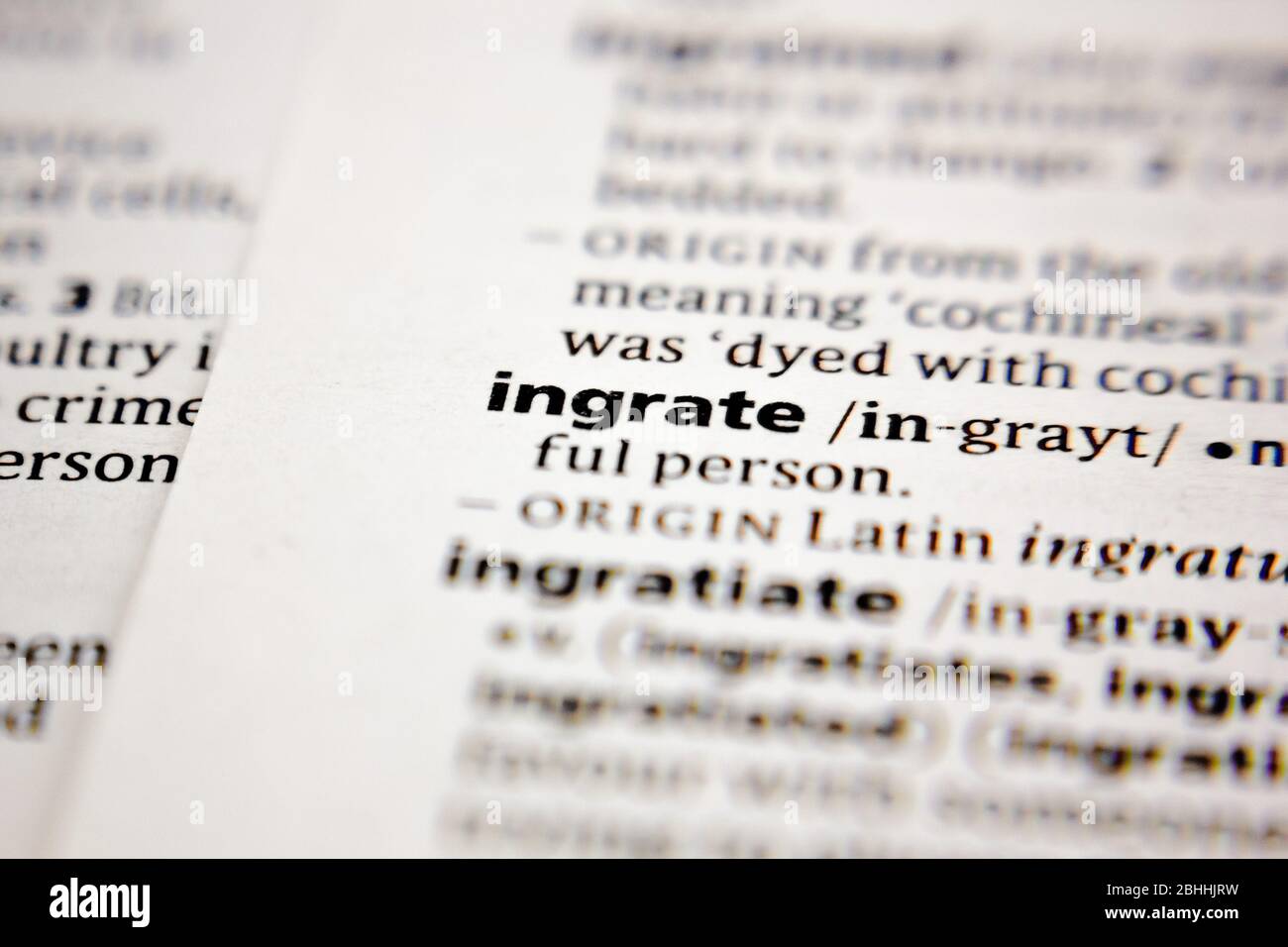 Ingrate hi-res stock photography and images - Alamy