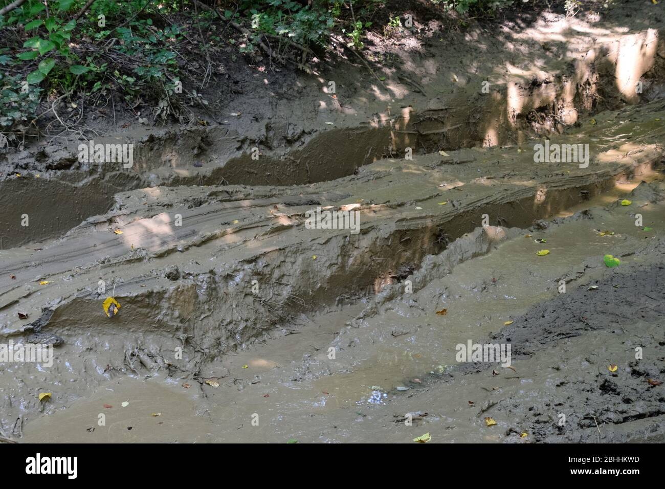 Dirty blurred forest road with a deep rut Stock Photo - Alamy