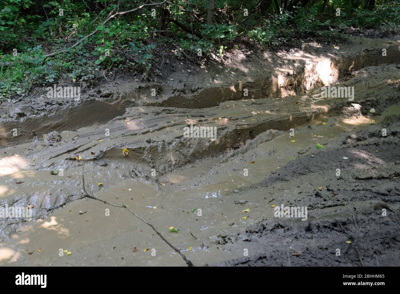 Dirty blurred forest road with a deep rut Stock Photo - Alamy